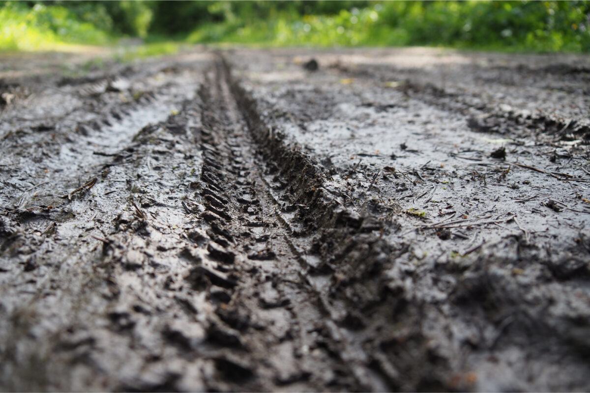 Love Local Trails? Say No to Mud This Rainy Season